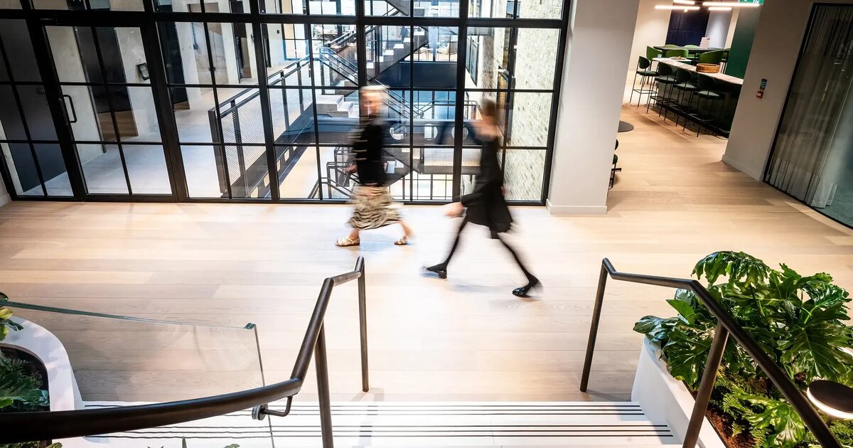 Understanding the Impact - Hines