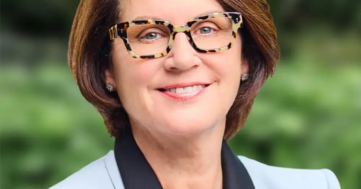 Christine Delucchi - Hines