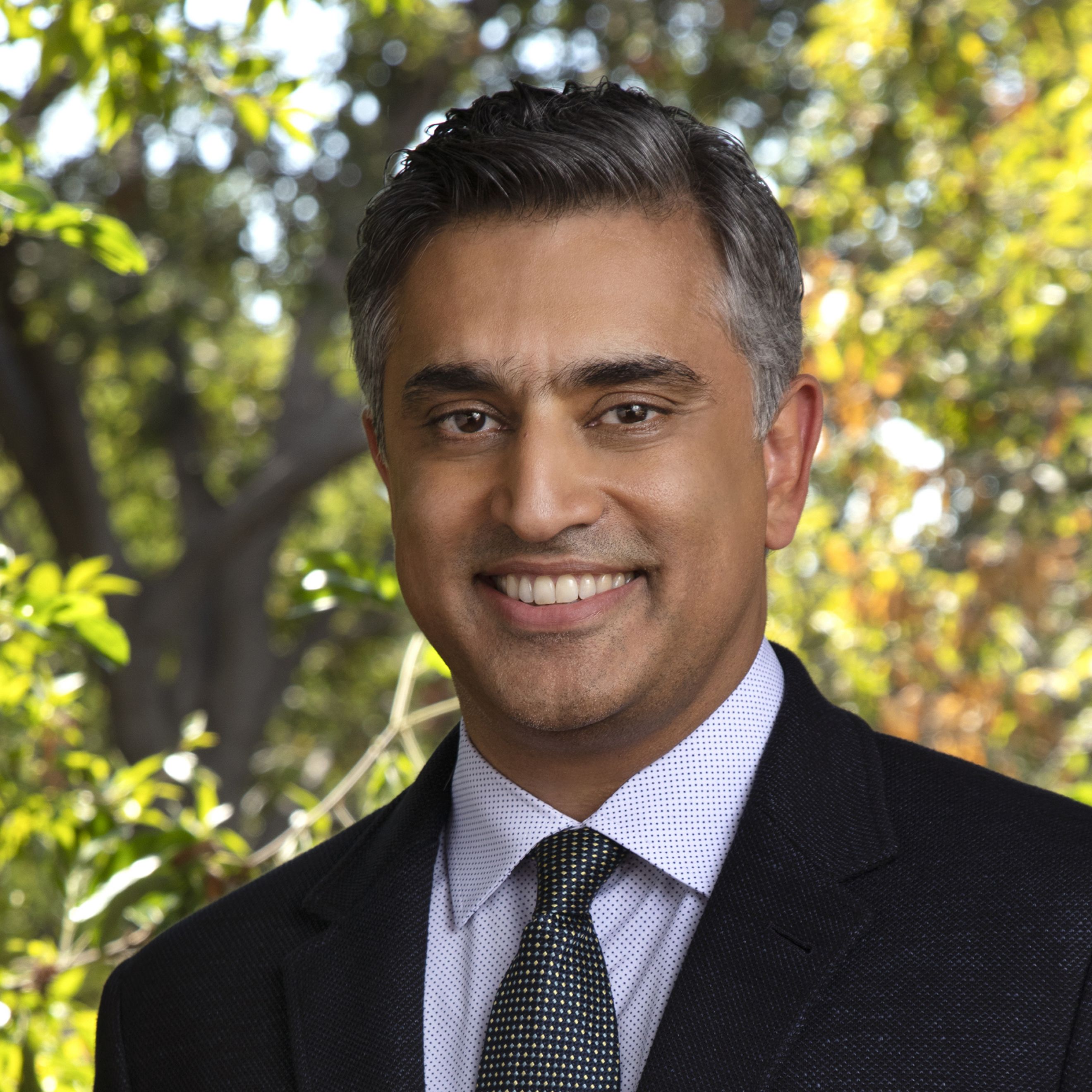 Vikram Mehra - Hines